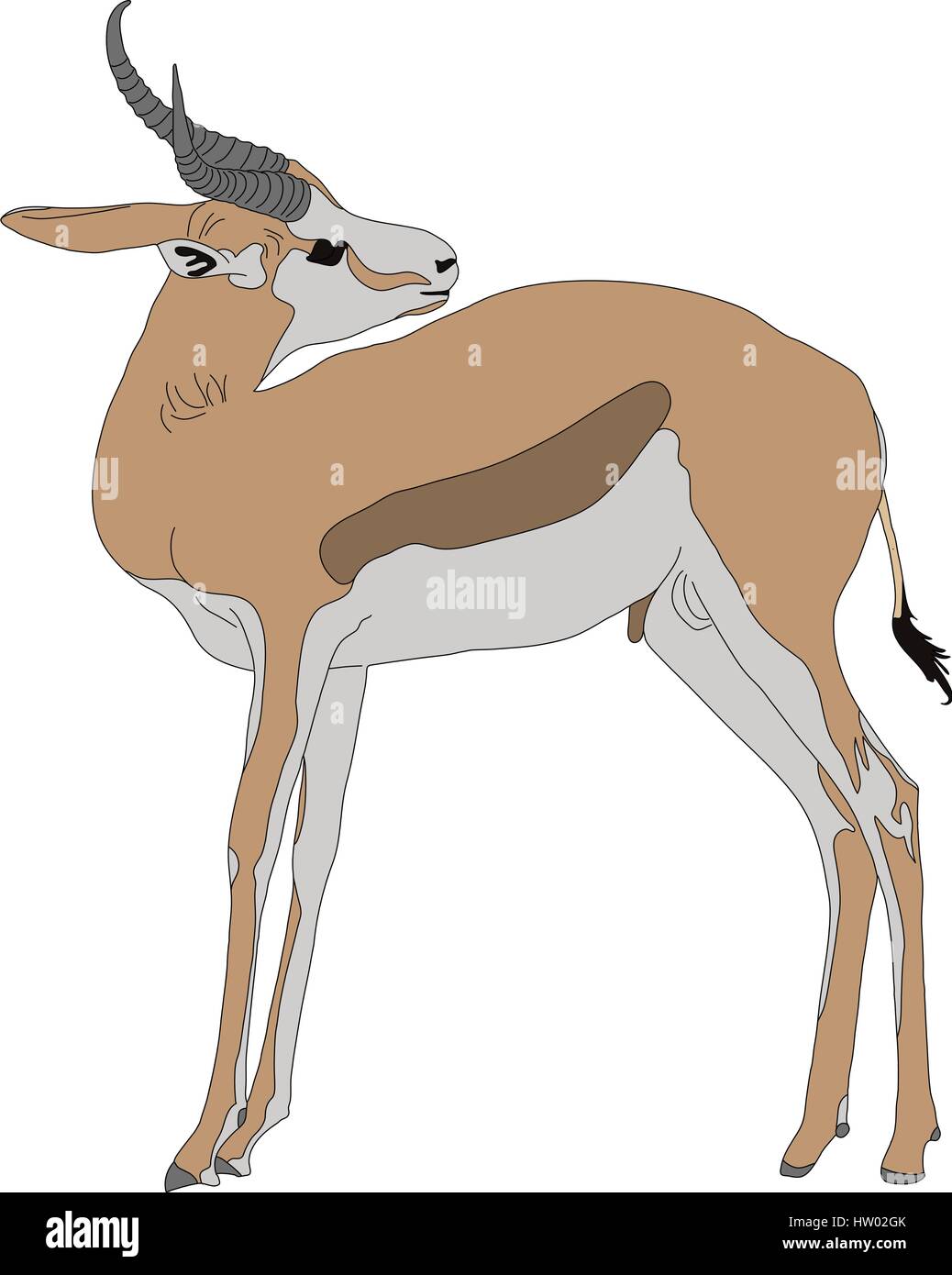 Springbok Cut Out Stock Images & Pictures - Alamy