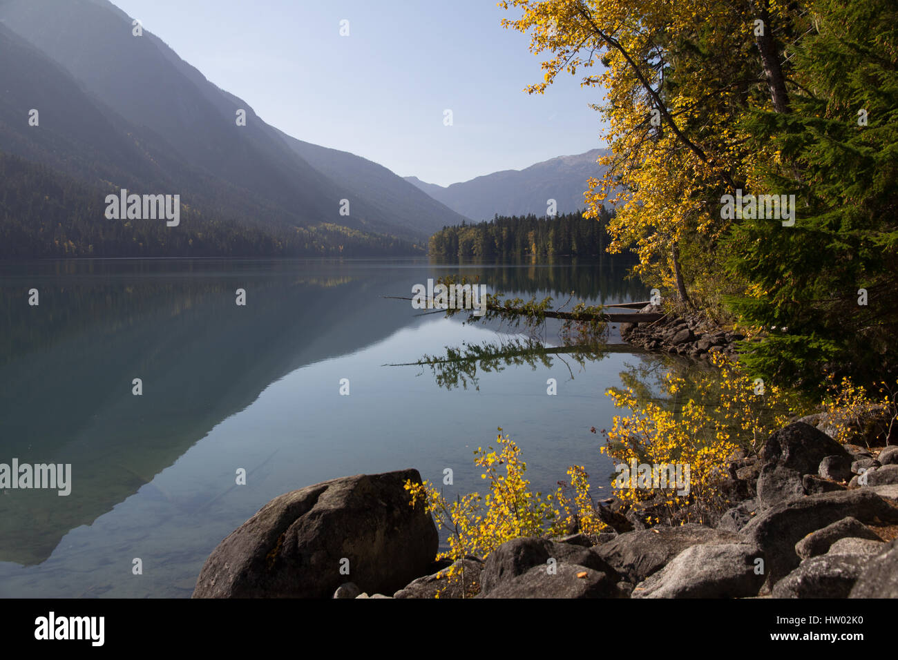 Sun and Shadow, Birkenhead Lake, BC, Canada Stock Photo - Alamy