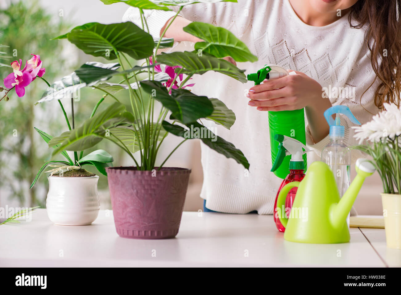 Young woman looking after plants at home Stock Photo - Alamy