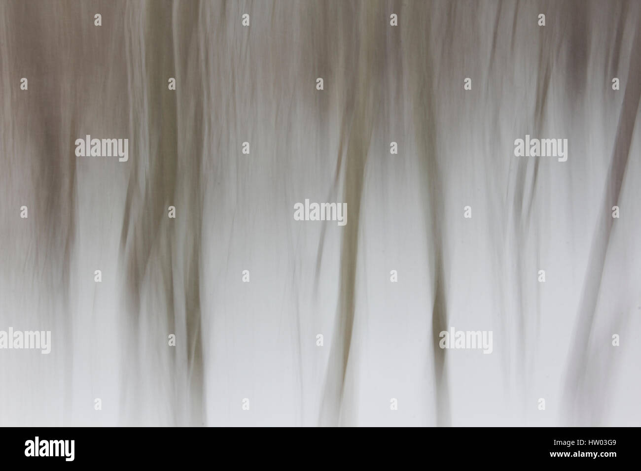 Blurred forest scene winter hi-res stock photography and images - Alamy