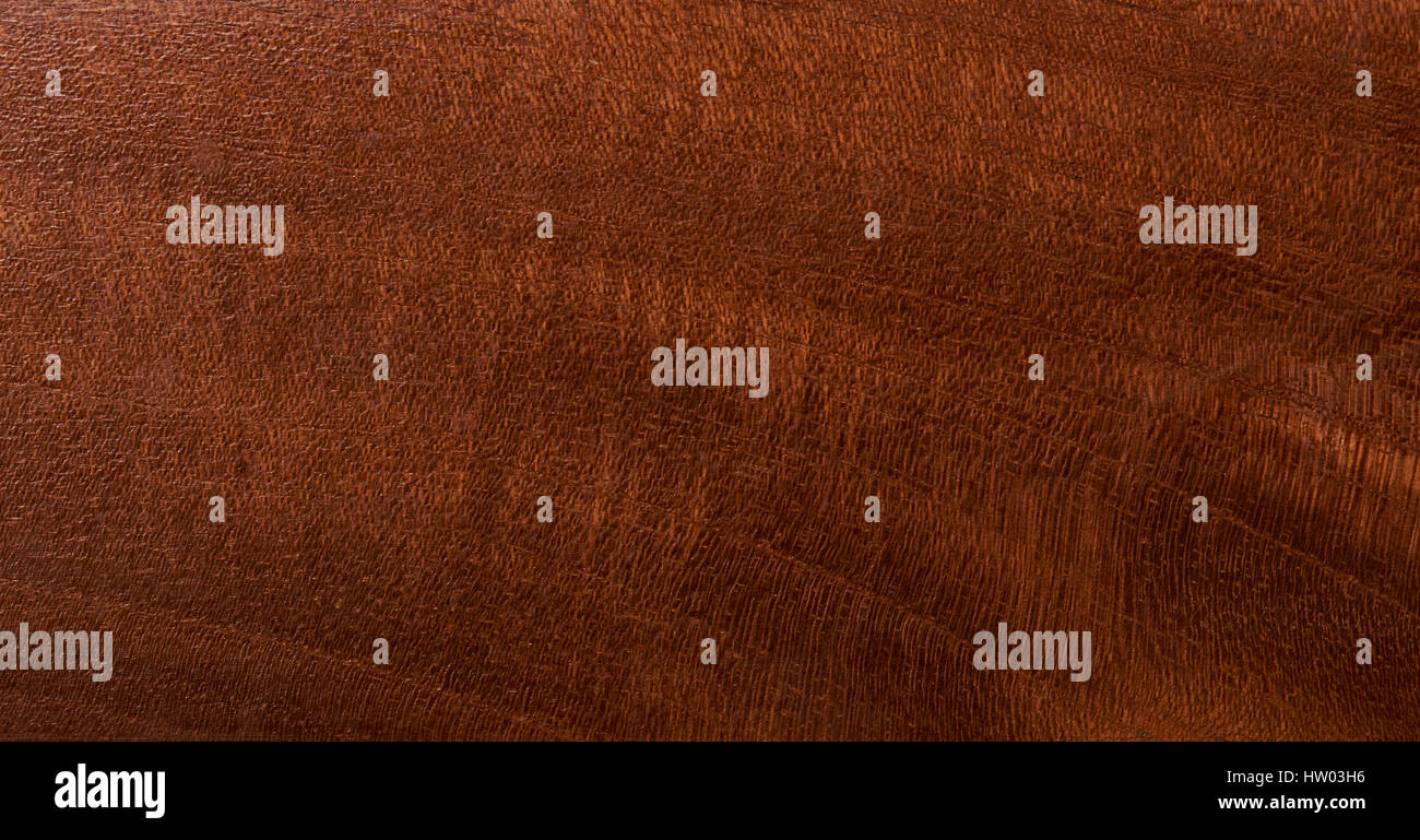 Brown wood surface texture background. Close-up wooden timber pattern ...