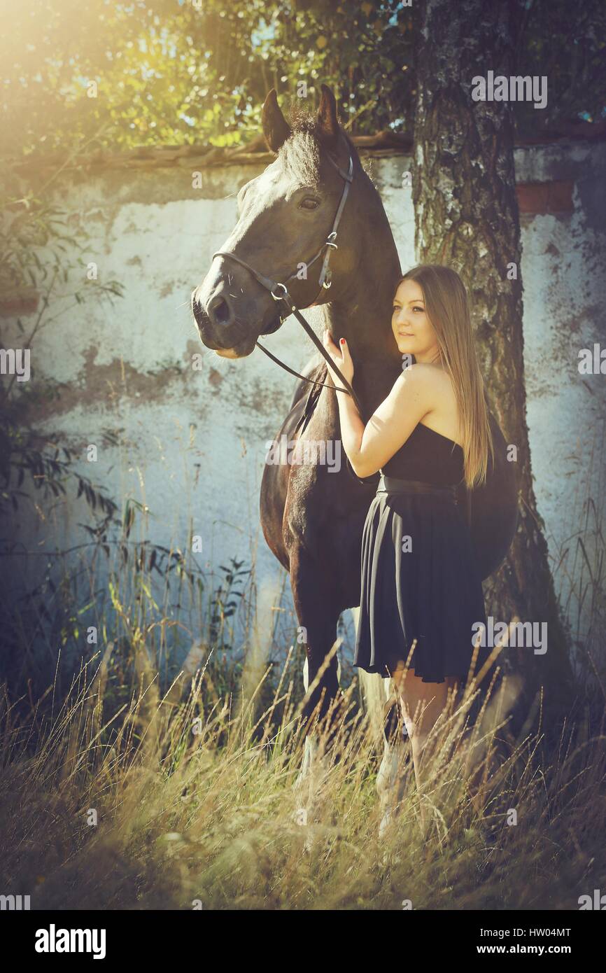 Pinto cross hi-res stock photography and images - Alamy
