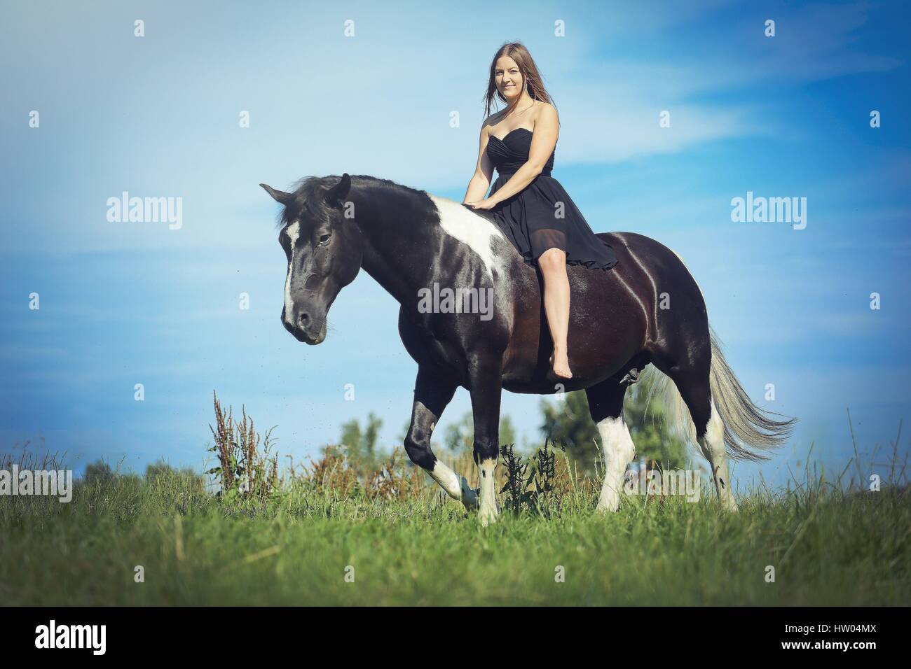 woman rides Pinto-Cross Stock Photo - Alamy