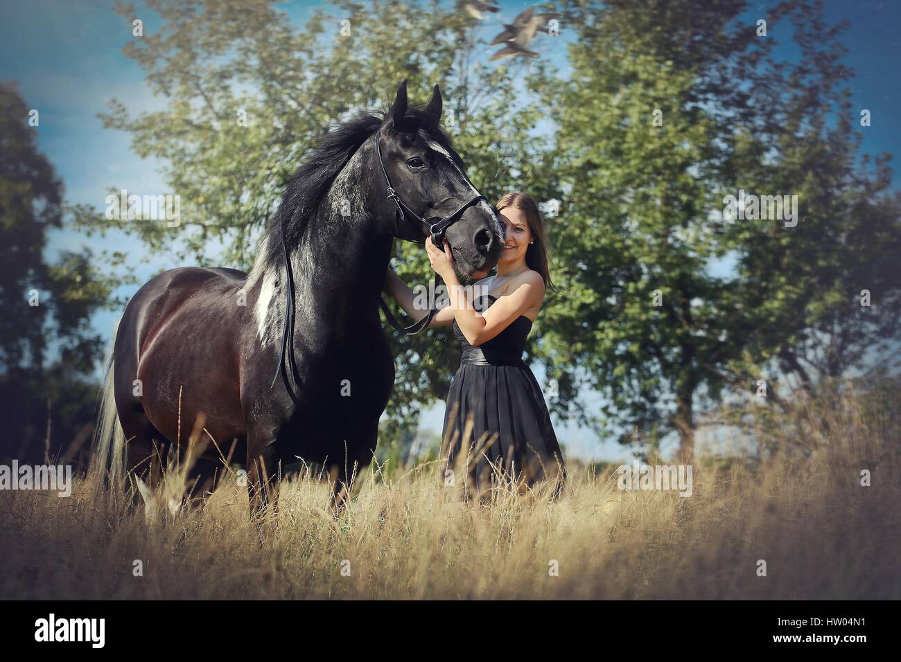 Pinto Cross High Resolution Stock Photography and Images - Alamy