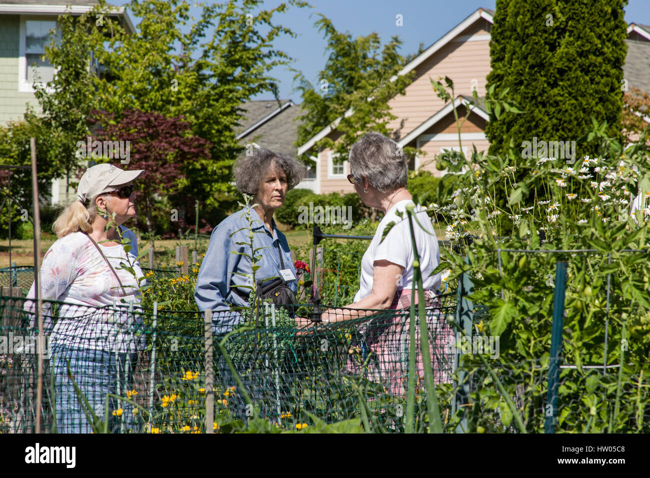 Providence point pea patch hi-res stock photography and images - Alamy
