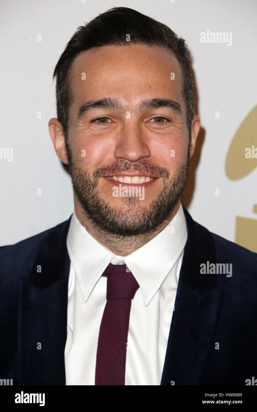 Pre-GRAMMY Gala and Salute to Industry Icons Honoring Debra Lee ...