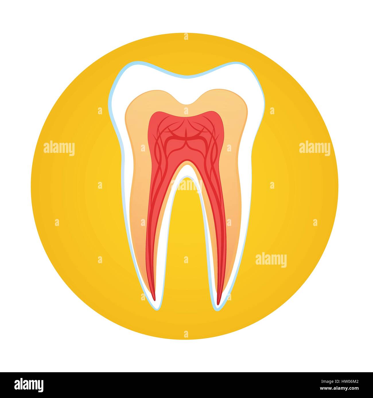 World Dentist Day Stock Vector Images Alamy