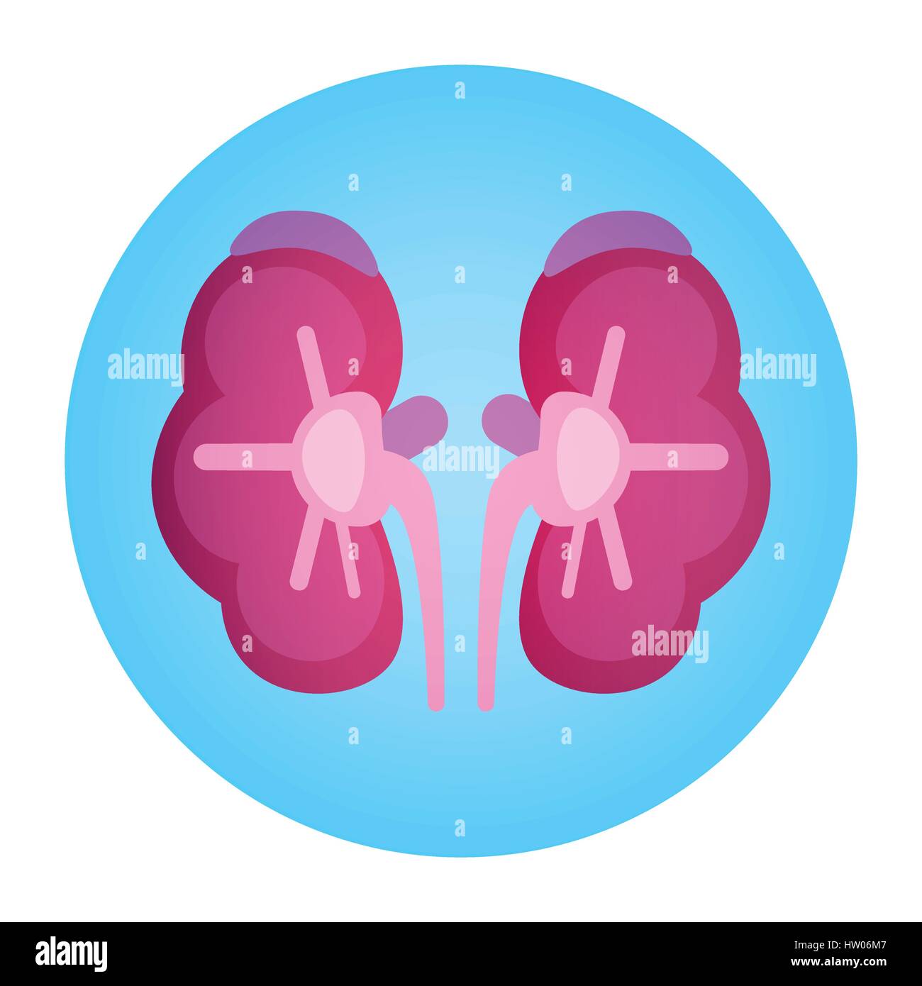 Kidney day vector Stock Vector Images - Alamy