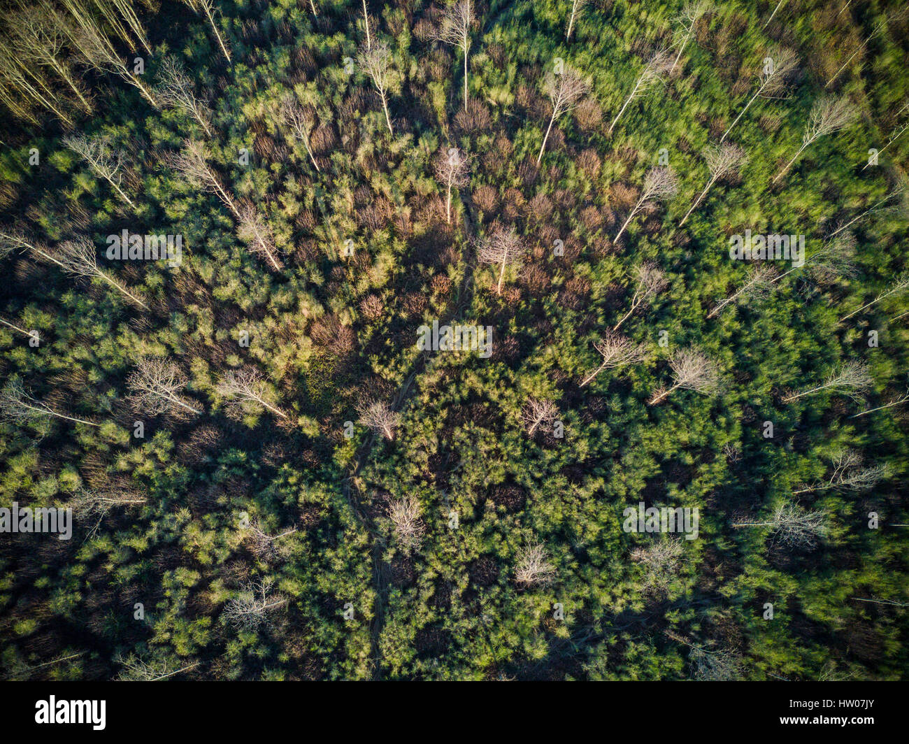 Aerial drone relaxing landscape sunset hi-res stock photography and ...