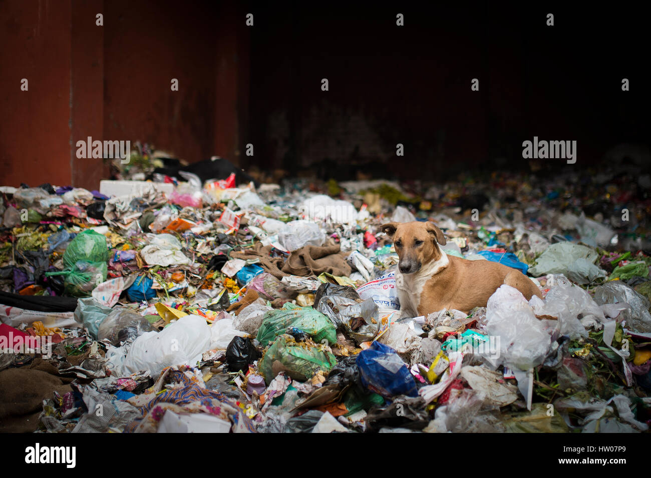 Garbage dumping ground hi-res stock photography and images - Alamy