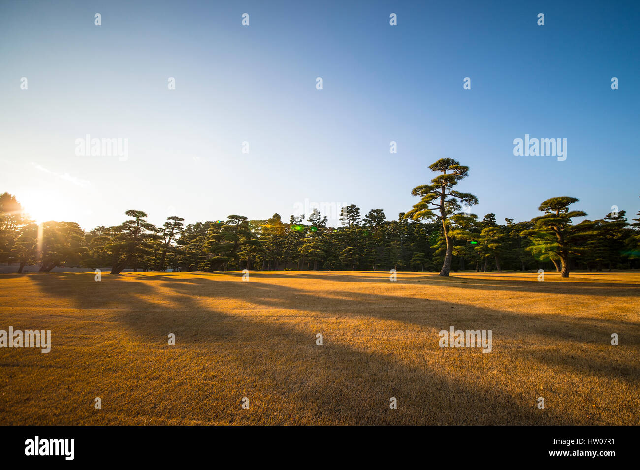 Sunset and shadow at the park Stock Photo - Alamy