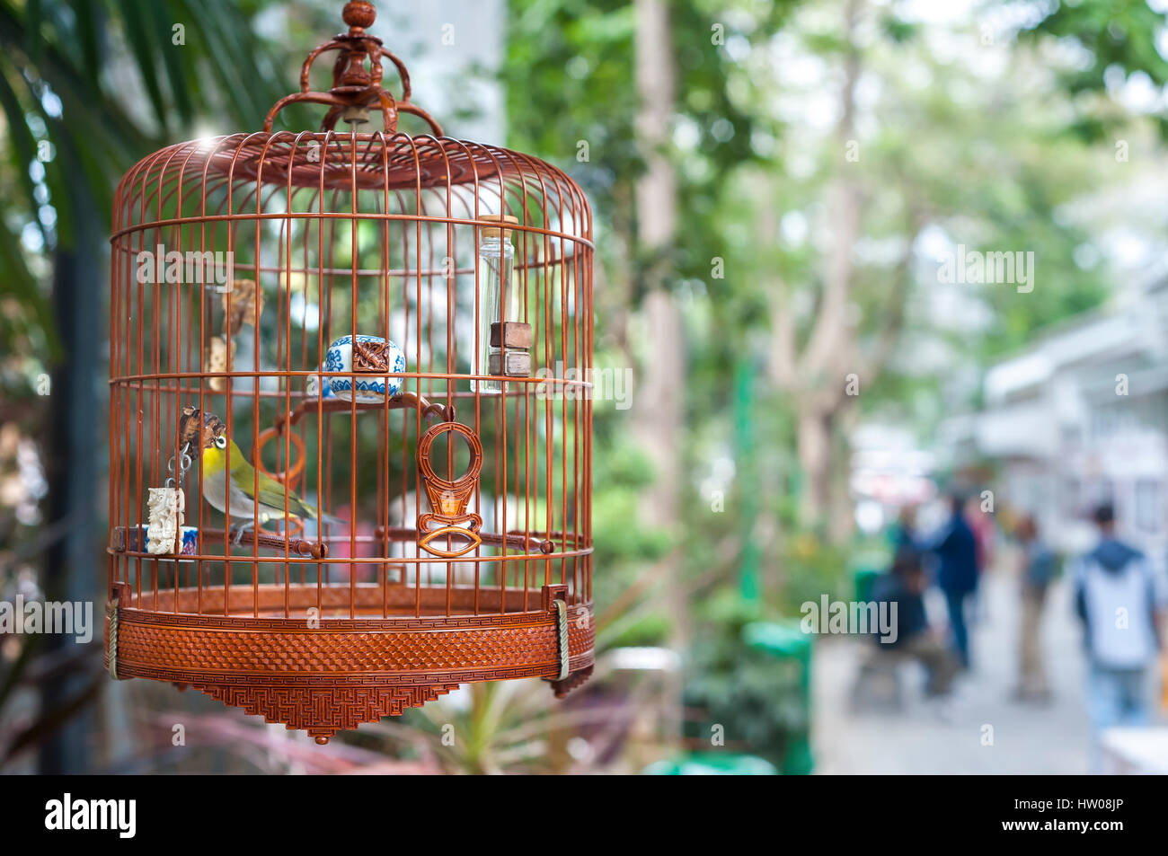 Caged bird hi-res stock photography and images - Alamy