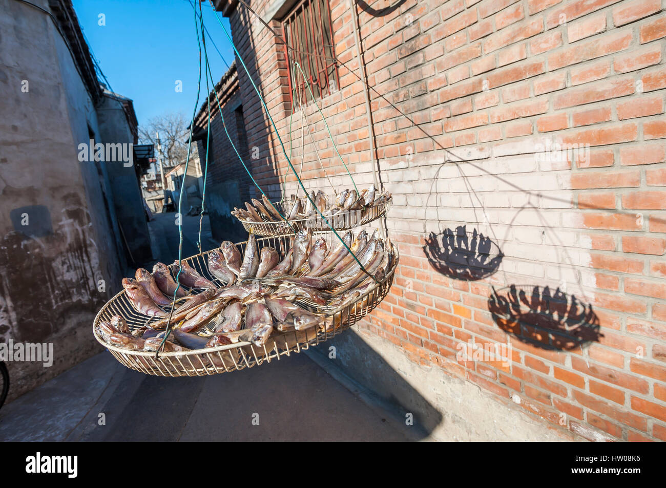 Small fish drying in the sun in a Beijing hutong, China Stock Photo - Alamy
