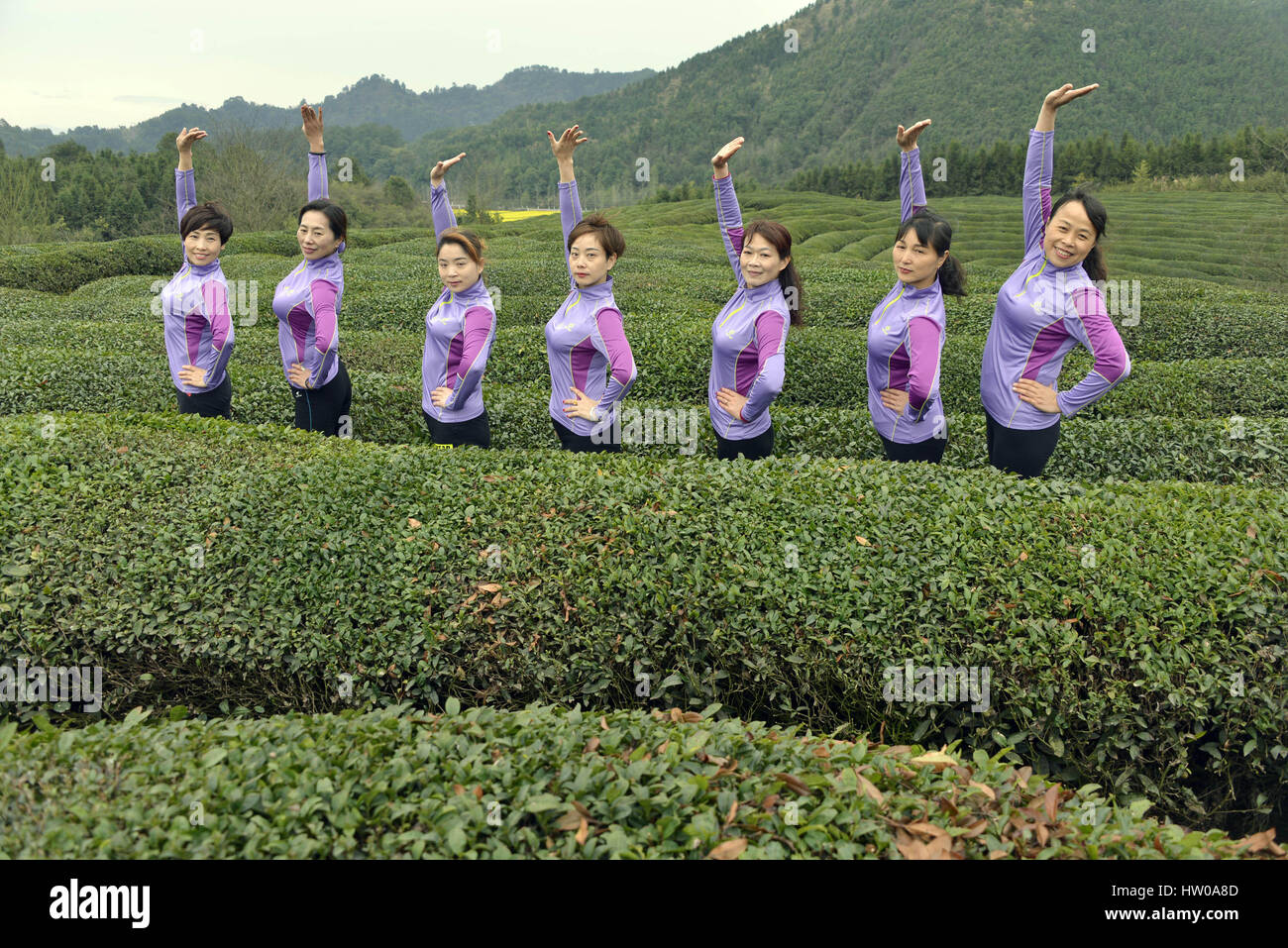 Dexing, Dexing, China. 15th Mar, 2017. Women practice yoga at the tea ...