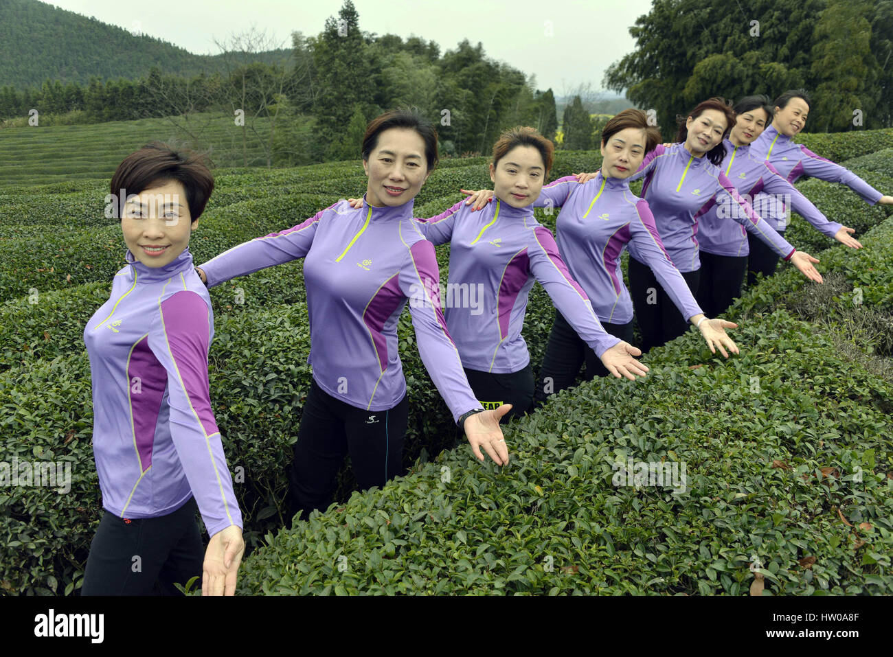 Dexing, Dexing, China. 15th Mar, 2017. Women practice yoga at the tea ...