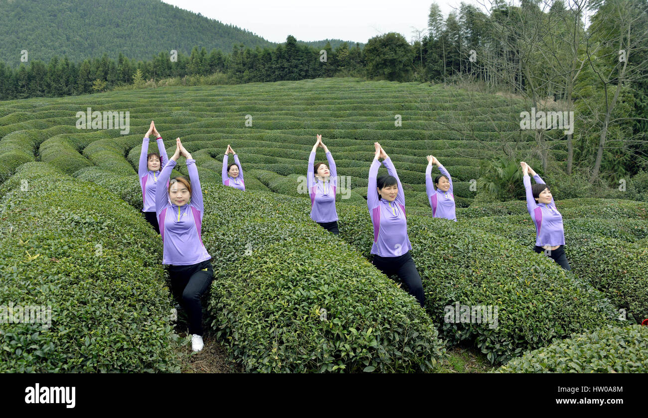 Dexing, Dexing, China. 15th Mar, 2017. Women practice yoga at the tea ...