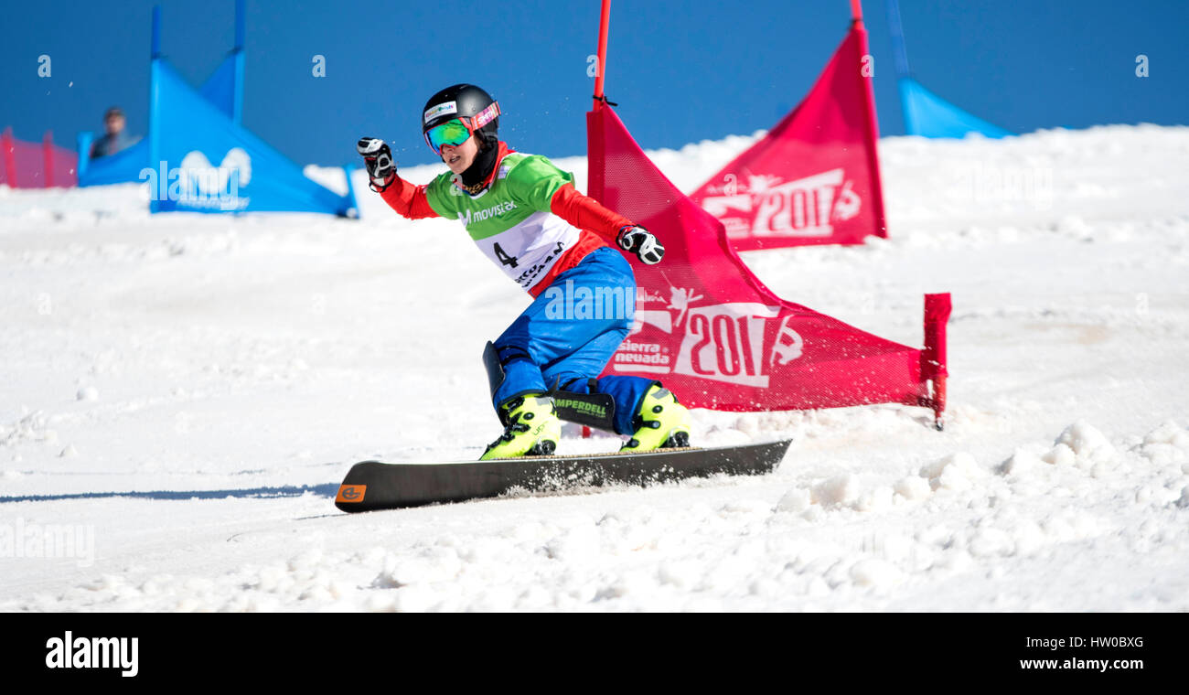 Sierra Nevada, Spain. 14th Mar, 2017. Daniela Ulbing (Austria) during ...