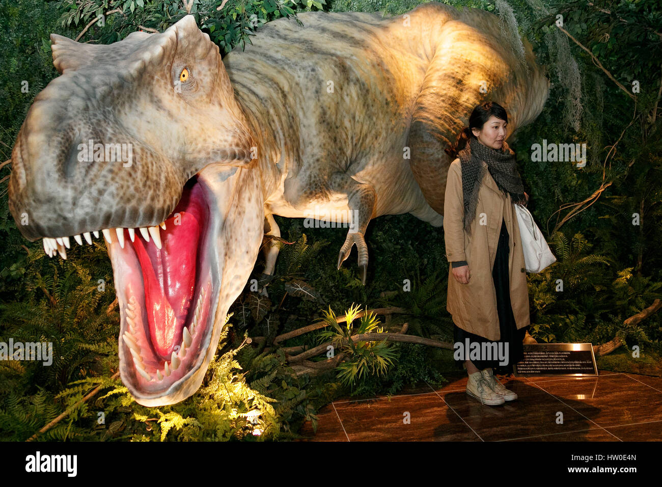 Life size tyrannosaurus rex model hi-res stock photography and images ...
