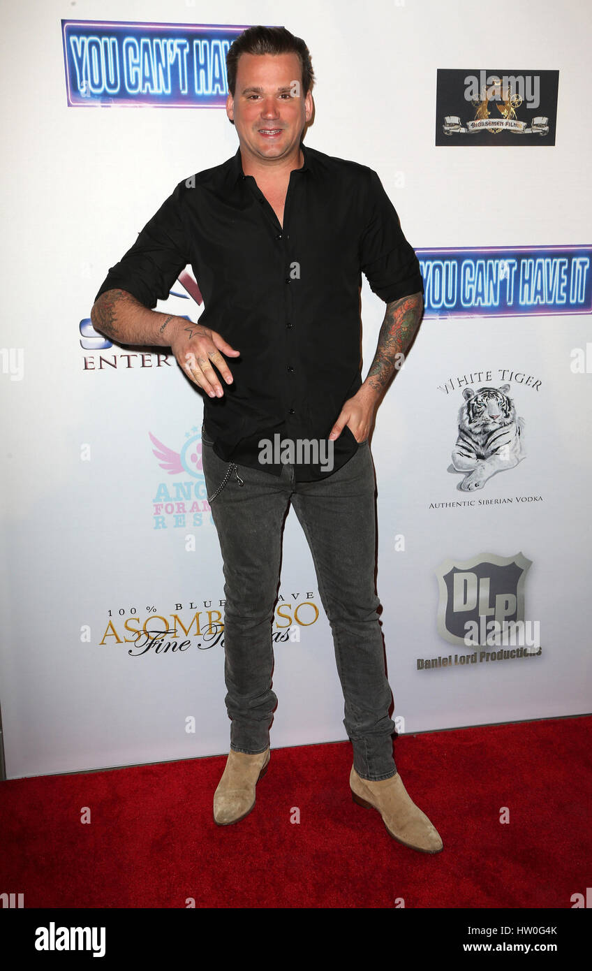 Hollywood, Ca. 15th Mar, 2017. Sean Stewart, At The Premiere Of Skinfly ...