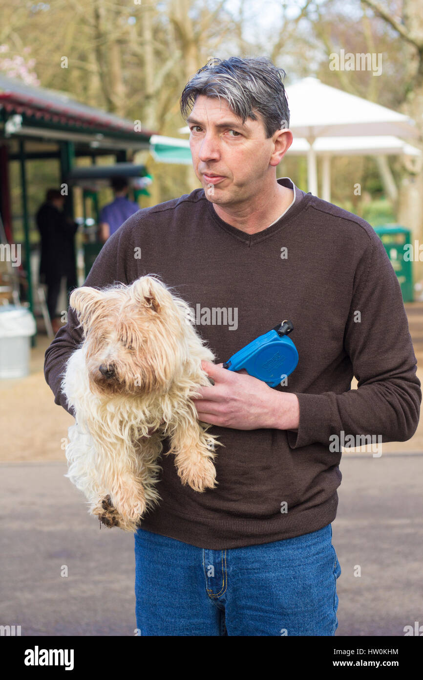 Dogs playing in Bute park, Cardiff with their owners Stock Photo - Alamy