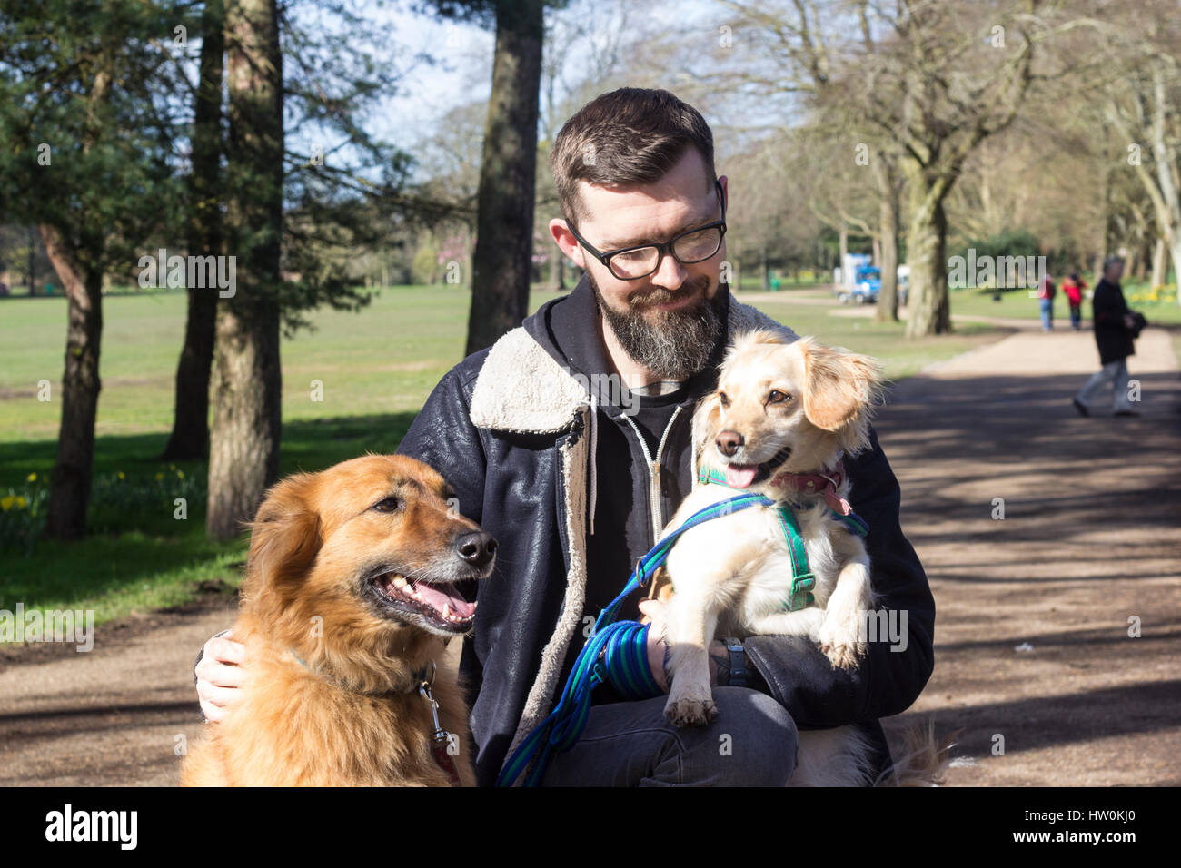 Dogs playing in Bute park, Cardiff with their owners Stock Photo - Alamy