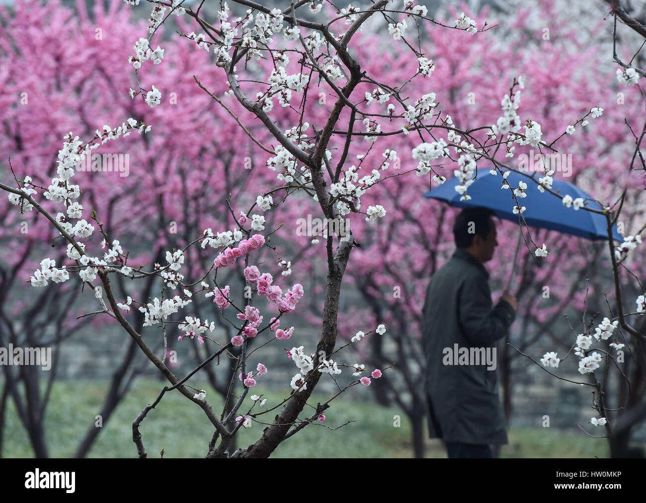 Beijing, China. 23rd Mar, 2017. A tourist visits the Beijing Ming ...