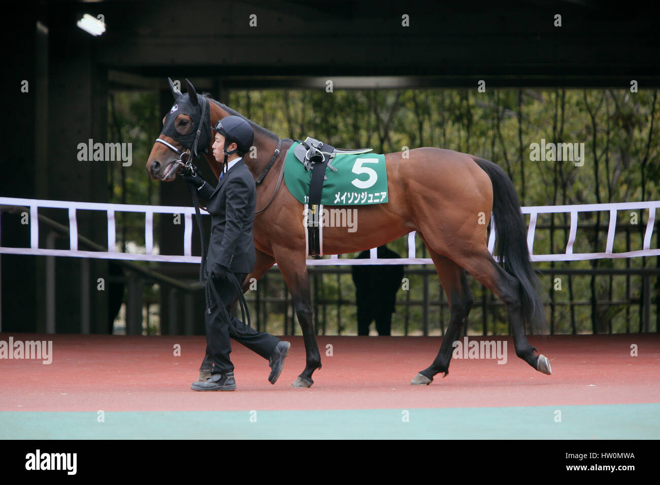 Mayson hi-res stock photography and images - Alamy