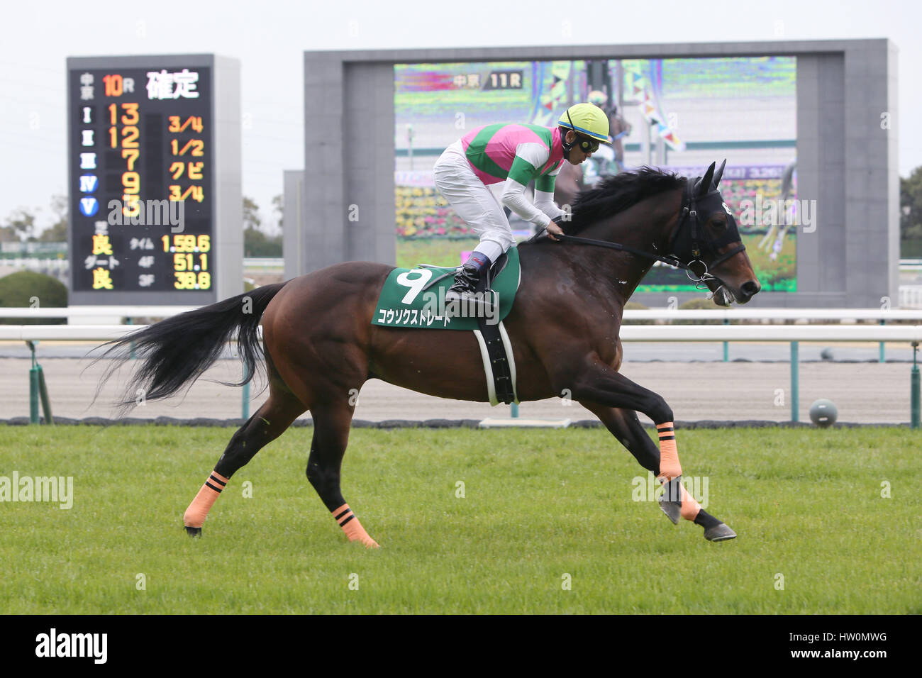 Aichi, Japan. 18th Mar, 2017. Kosoku Straight (Keita Tosaki) Horse ...