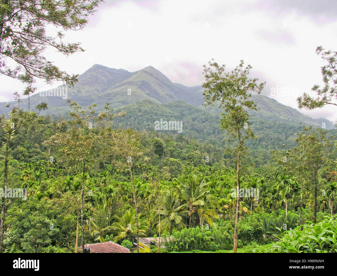Beautiful view of the western ghat mountain range in Wayanad district ...