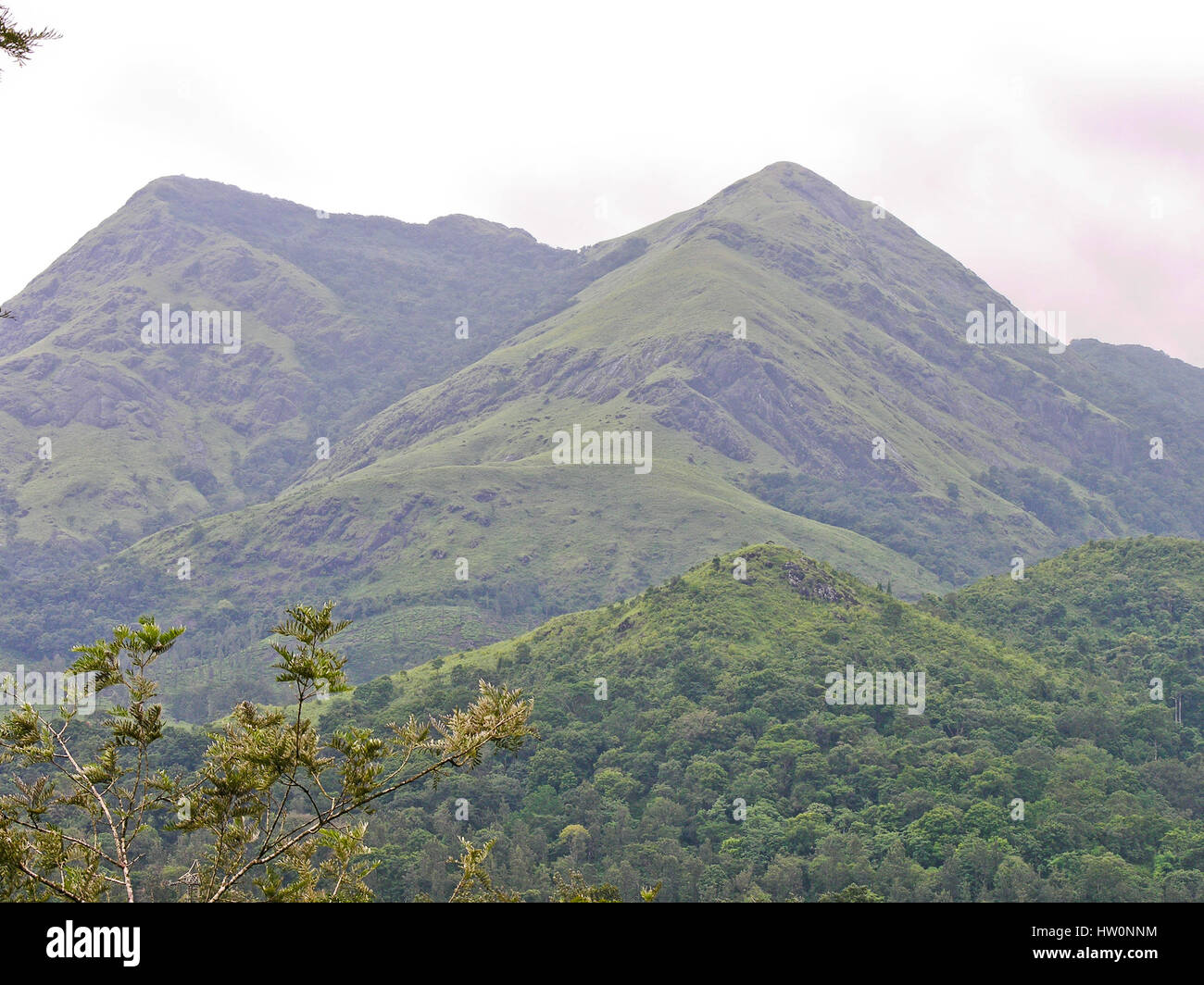 Beautiful view of the western ghat mountain range in Wayanad district ...
