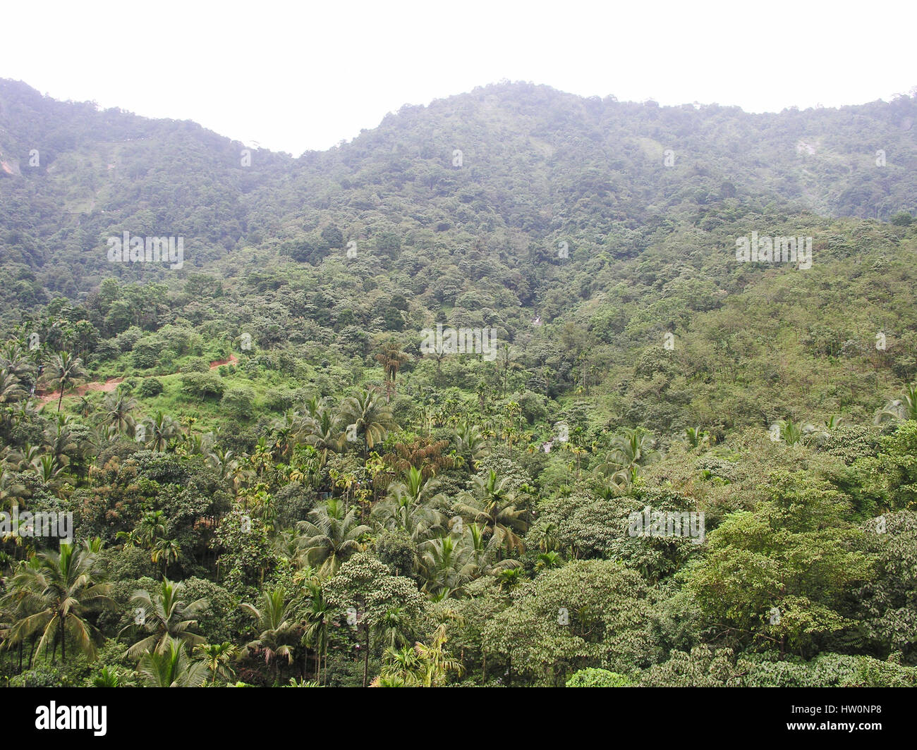 Beautiful view of the western ghat mountain range in Wayanad district ...