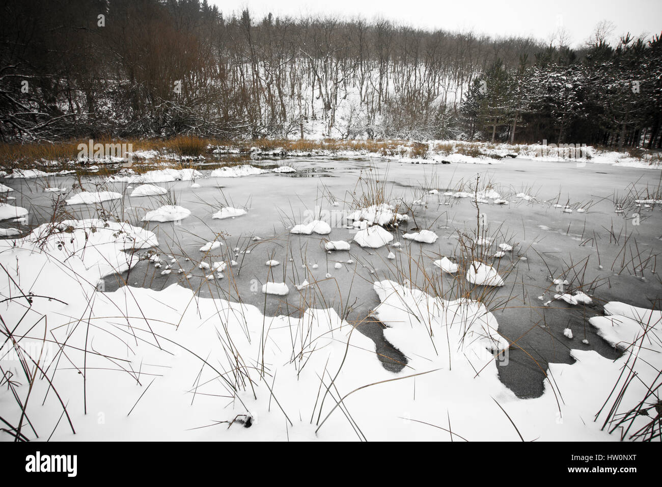 Natural pool in winter Stock Photo - Alamy