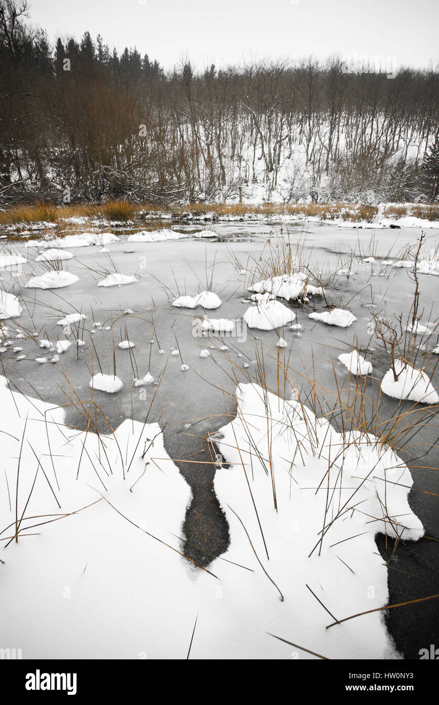 Natural pool in winter Stock Photo - Alamy