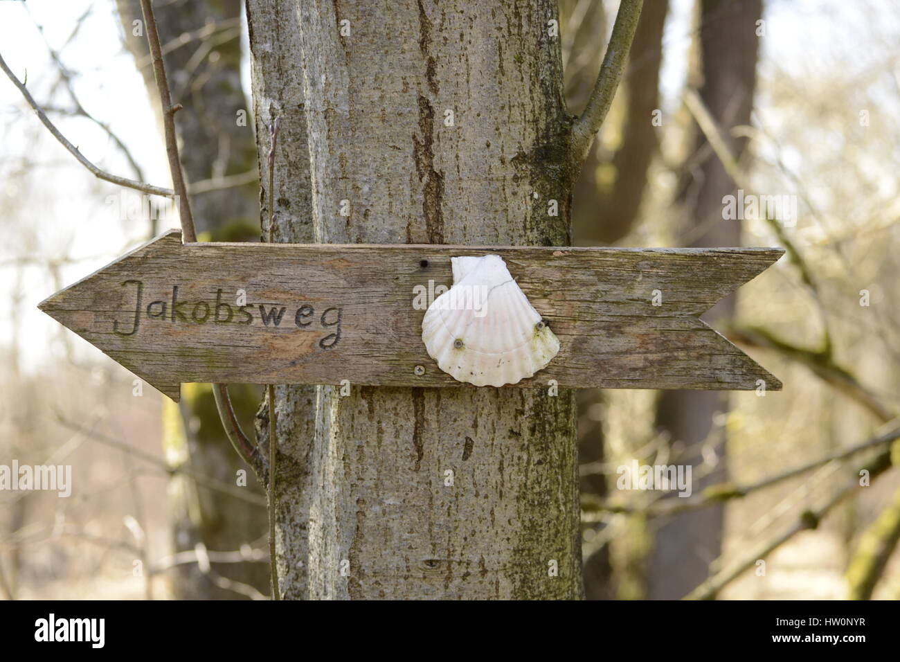 A road sign with a shell indicates the road to Santiago Stock Photo - Alamy