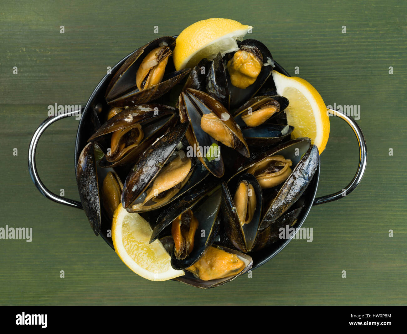 Our rope grown mussels hi-res stock photography and images - Alamy