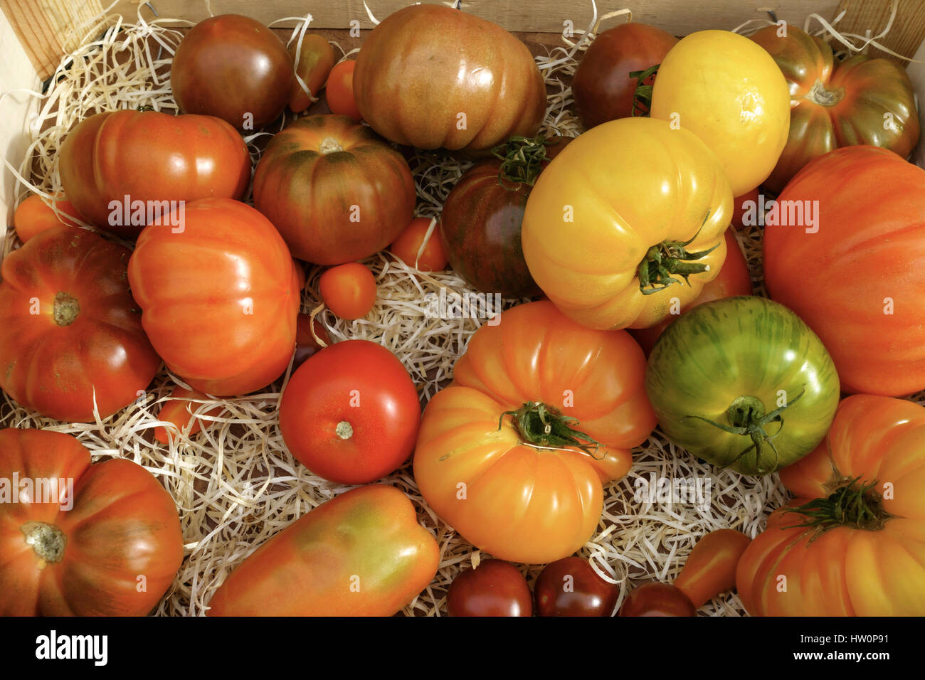 Display of colourful multi coloured Heritage Tomatoes for sale outside ...