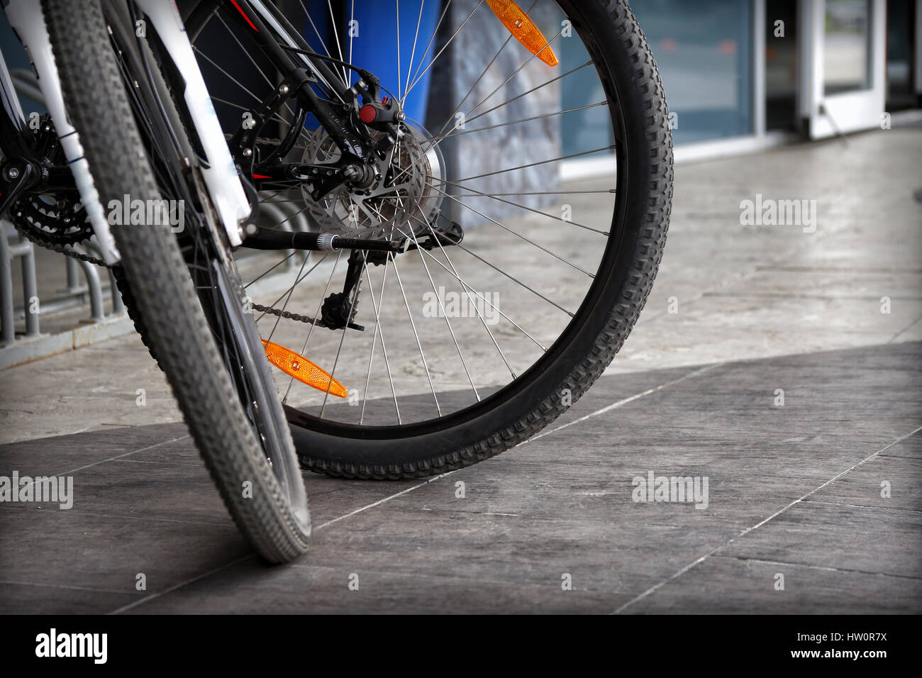 Detail of two modern bicycle wheels on a gray pavement background Stock ...