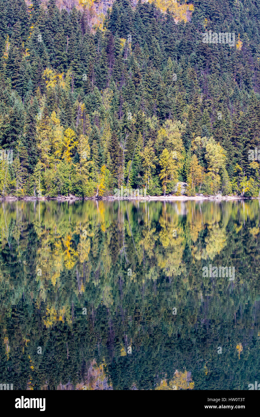 Fall at Birkenhead Lake, near Whistler, BC and the mixed forest of ...