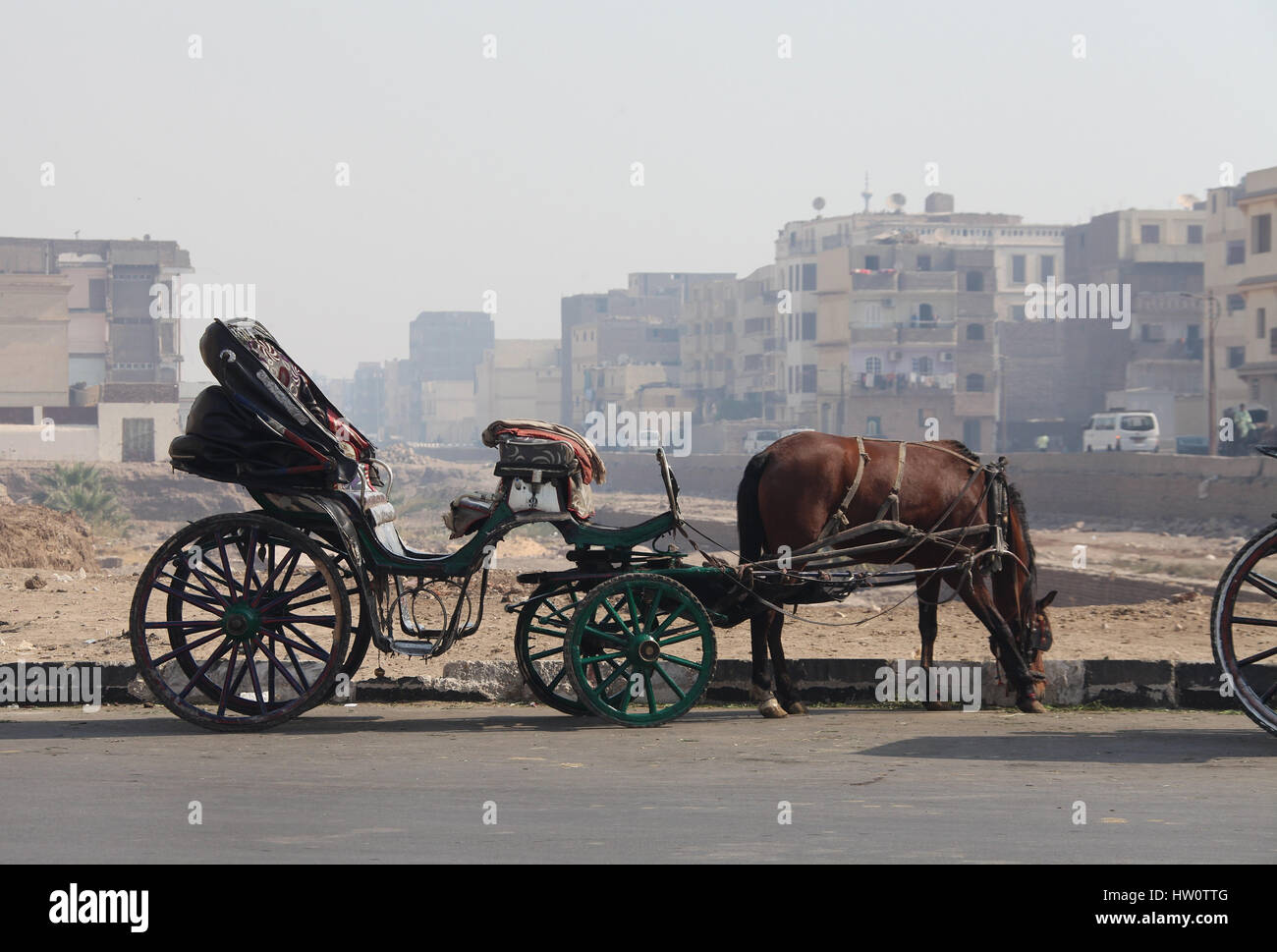 Caleche on the street in Luxor Stock Photo - Alamy