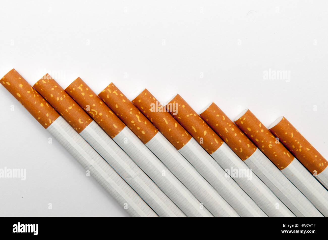 one single cigarette close up isolated on a white background Stock ...