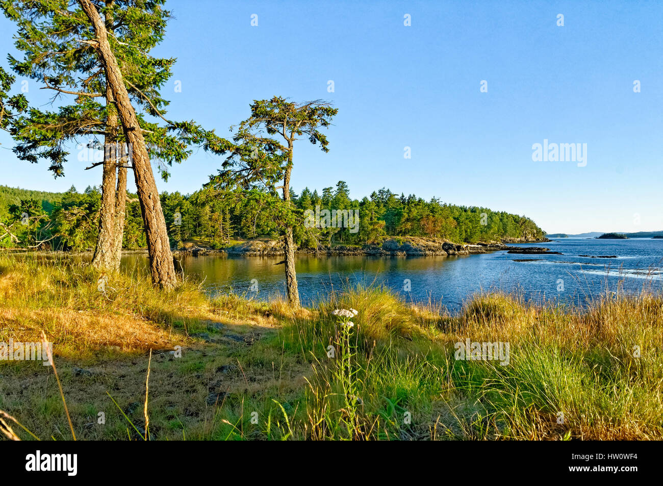 Shore line, Ruckle Provincial Park, Salt spring Island, British ...