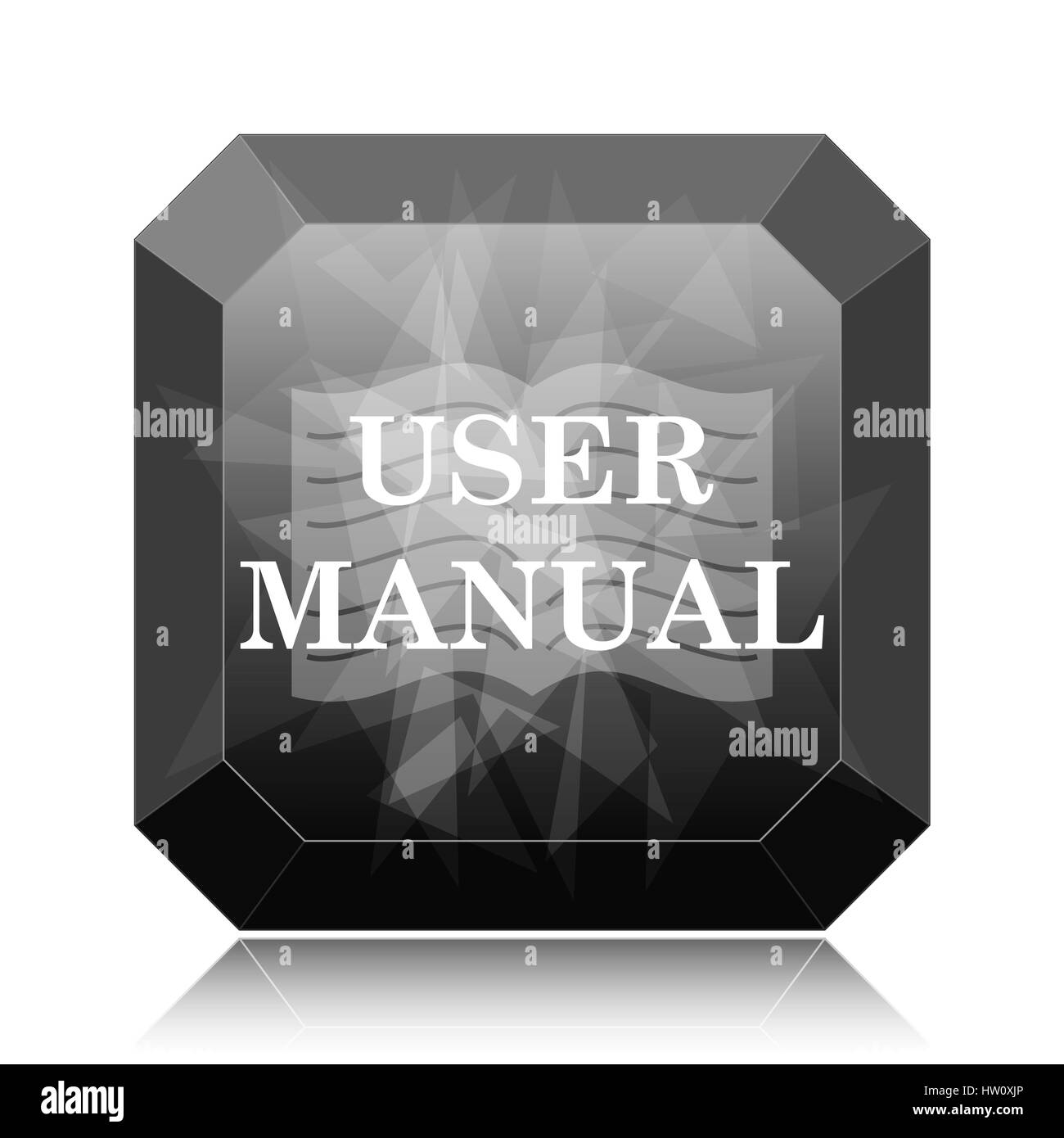 User manual icon, black website button on white background Stock Photo ...