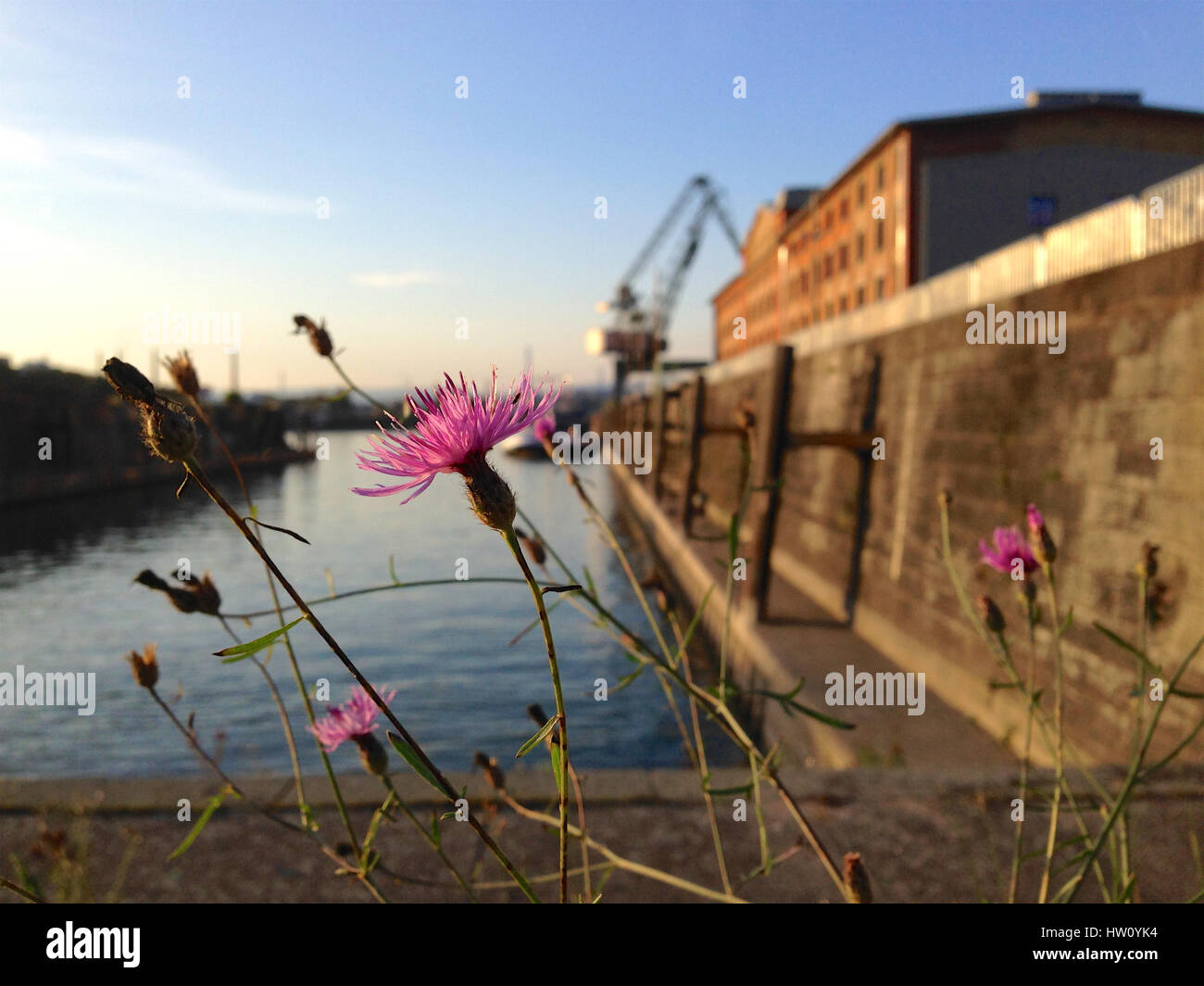 Water mainz germany hi-res stock photography and images - Alamy