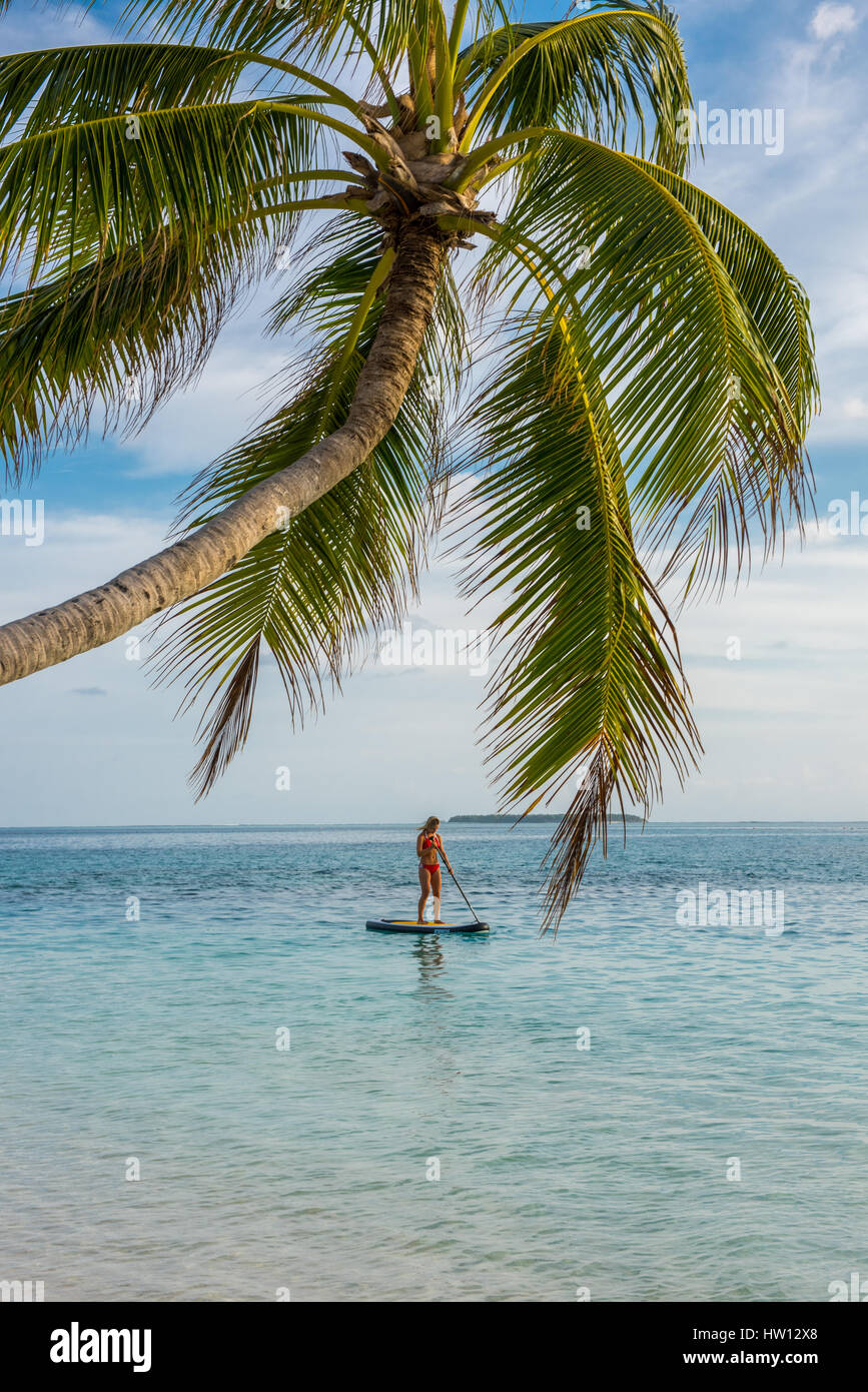 Maldives, Rangali Island. Conrad Hilton Resort. Woman on paddleboard on ...
