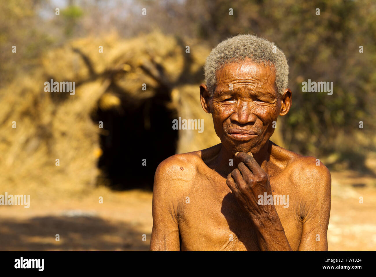 Old Bushmen at Grashoek, Namibia Stock Photo - Alamy
