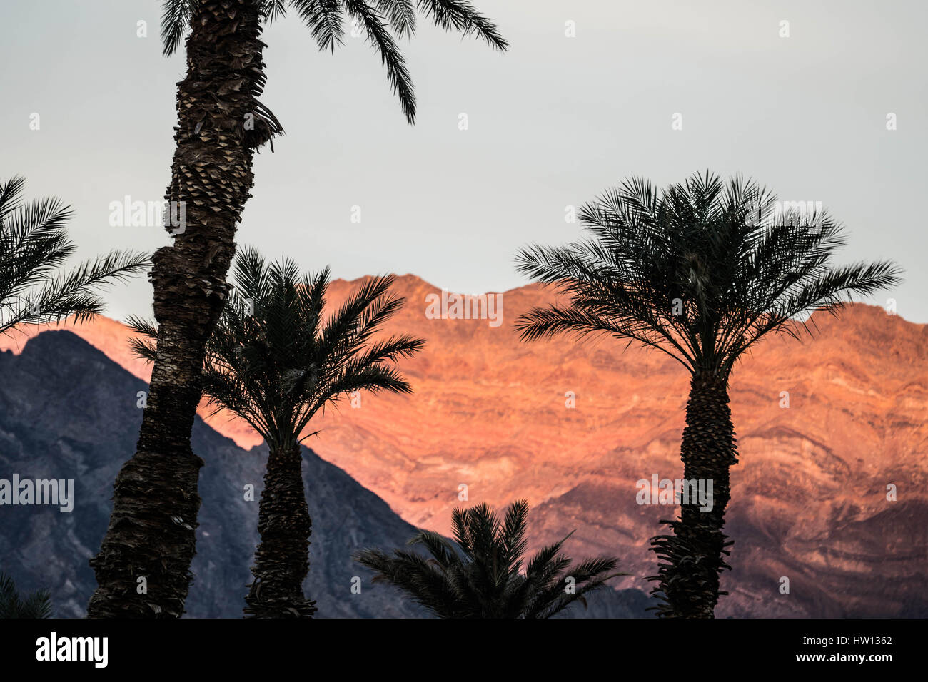 Death Valley in lights of sunrise or sunset Stock Photo - Alamy