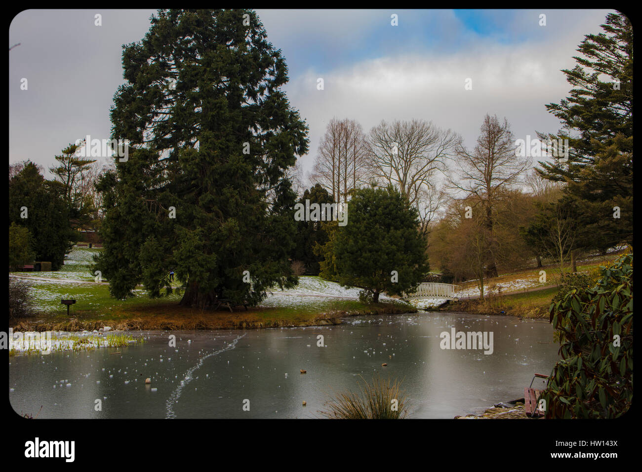 The lake in the winter. Shot in Denmark Stock Photo - Alamy