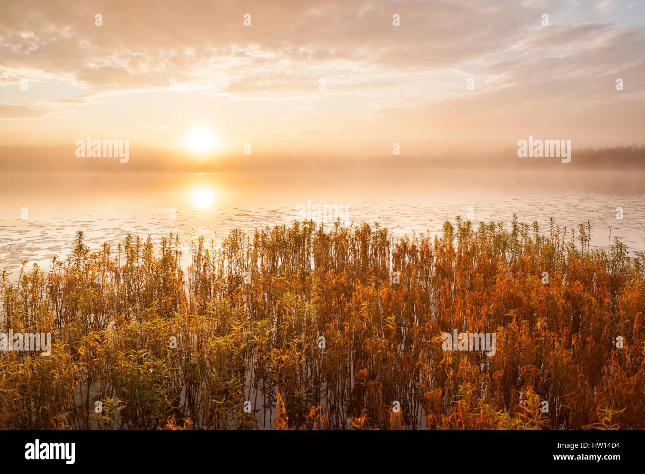 Sunrise at foggy lake Stock Photo - Alamy