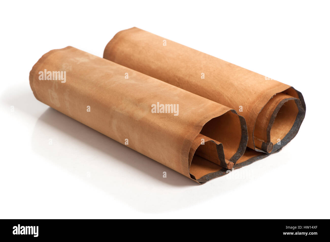 Parchment scroll isolated on white background Stock Photo - Alamy