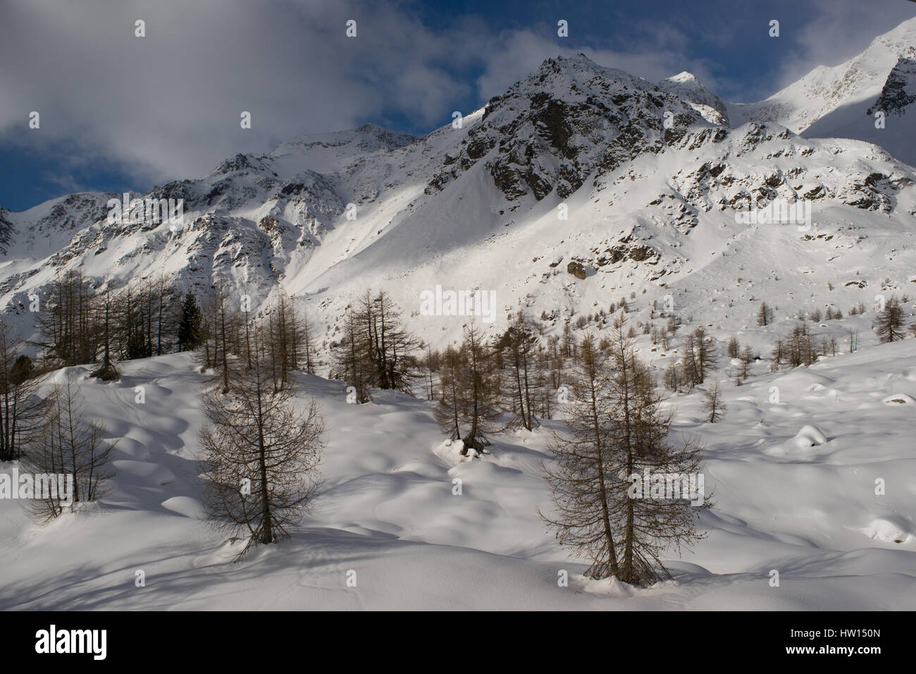 Peio Fonti - Val di Sole, Trentino, Italy Stock Photo - Alamy